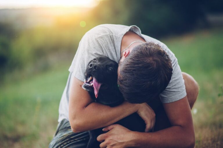 How To Get A Service Dog For PTSD Therapy Pets Unlimited how-to-get-a-service-dog-for-ptsd-therapy-pets-unlimited
